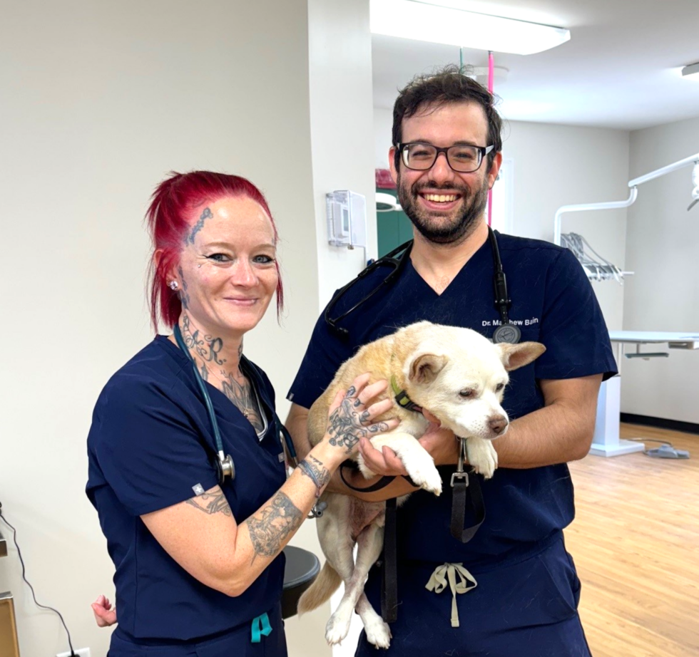 Clinics | Building The Best Vet Practices With AcharaVet